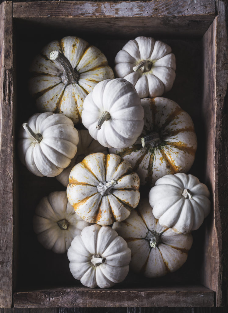 Pumpkins – Still Life Photography